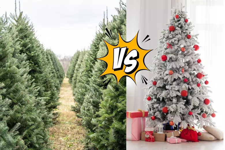 Real or Fake Christmas Tree? – The Nest